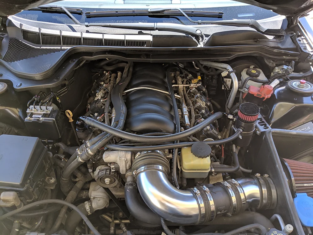 Mighty Mouse - G8 (Chevy SS) Wild Catch Can - Gwatney Performance